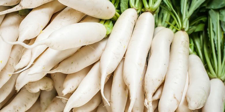 Catat, Begini Cara Menanam Lobak yang Benar