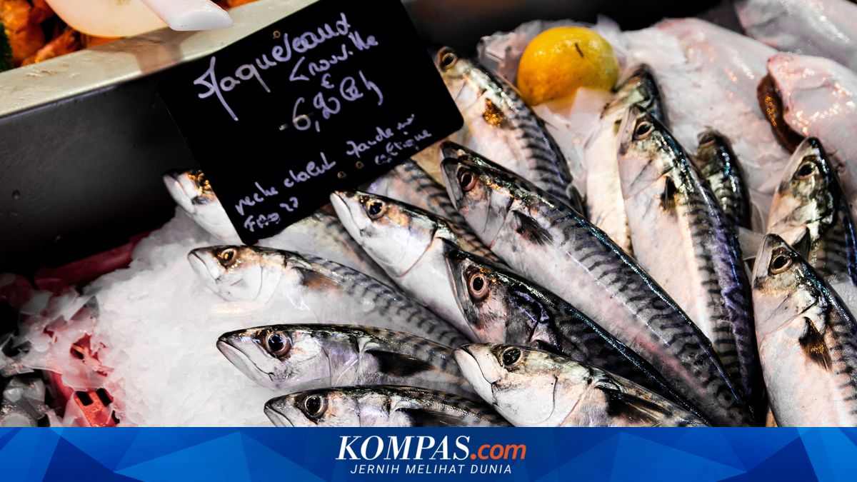 Tips Simpan Ikan agar Tetap Segar, Stok Untuk Malam Tahun Baru
