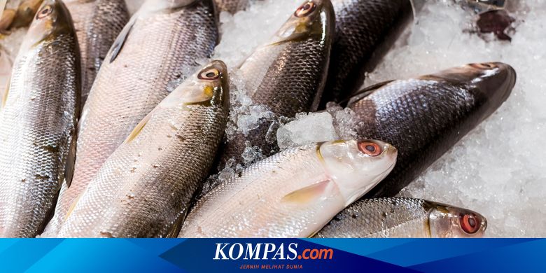 5 Cara Masak Ikan Bandeng, Bisa Dikuah atau Digoreng