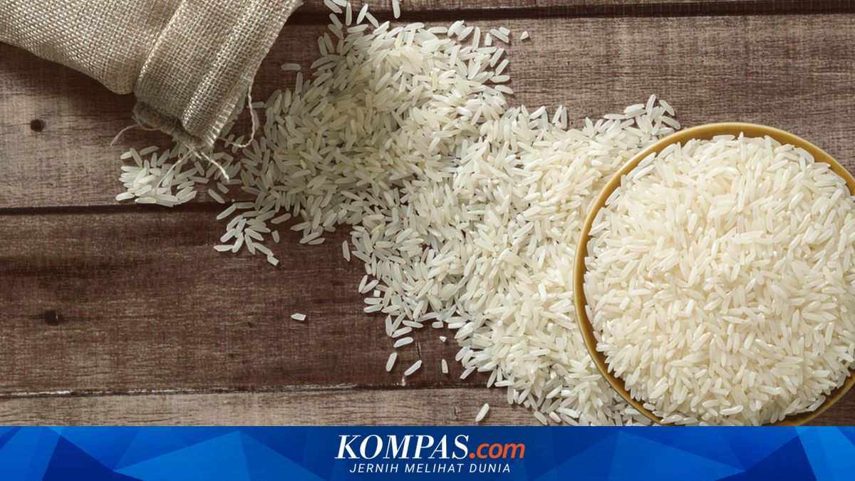 Tasikmalaya Wakili Indonesia sebagai Penghasil Beras Organik di Ekspo ...