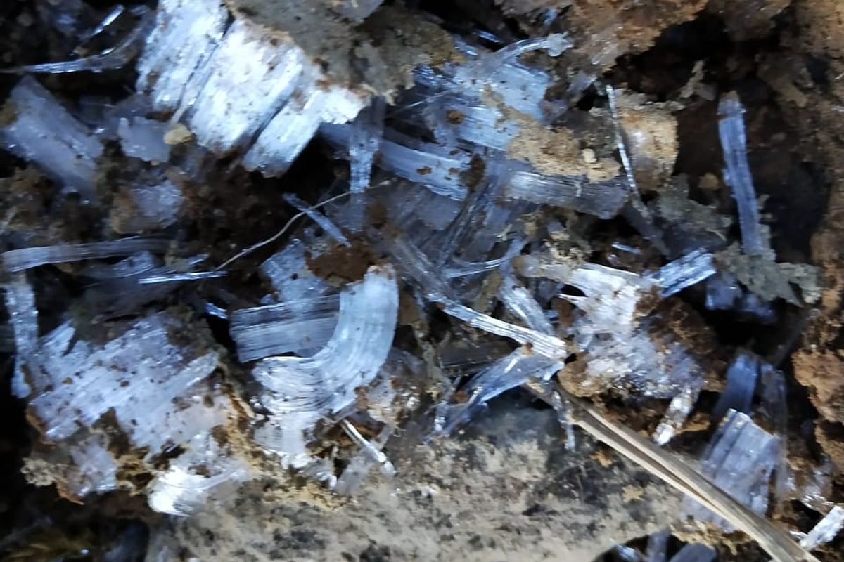 Embun Es Muncul di Gunung Sindoro, Disebut Pertama Kali Terjadi