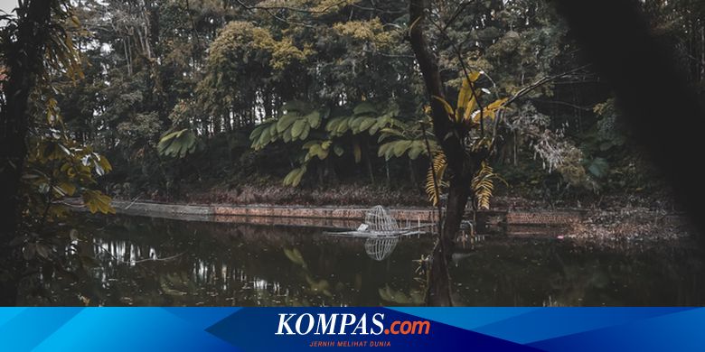Sandiaga: Viralnya Rowo Bayu Bisa Bantu Kembangkan Wisata Banyuwangi