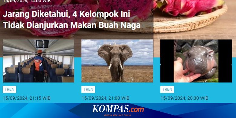 [POPULER TREN] Kelompok Tak Dianjurkan Makan Buah Naga | Wilayah Berpotensi Hujan 15-16 ...