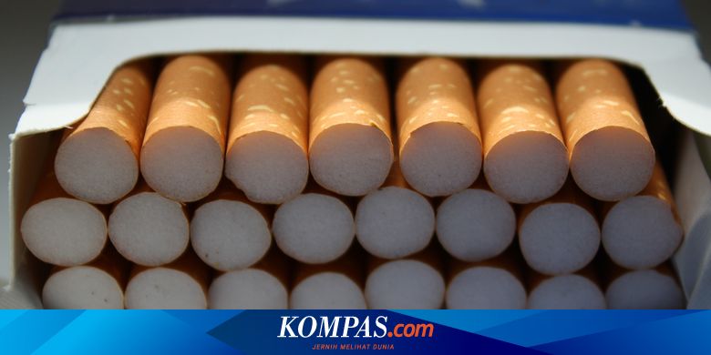 Indonesia Peringkat 3 Dunia Jumlah Perokok, Unpad Sarankan Ini