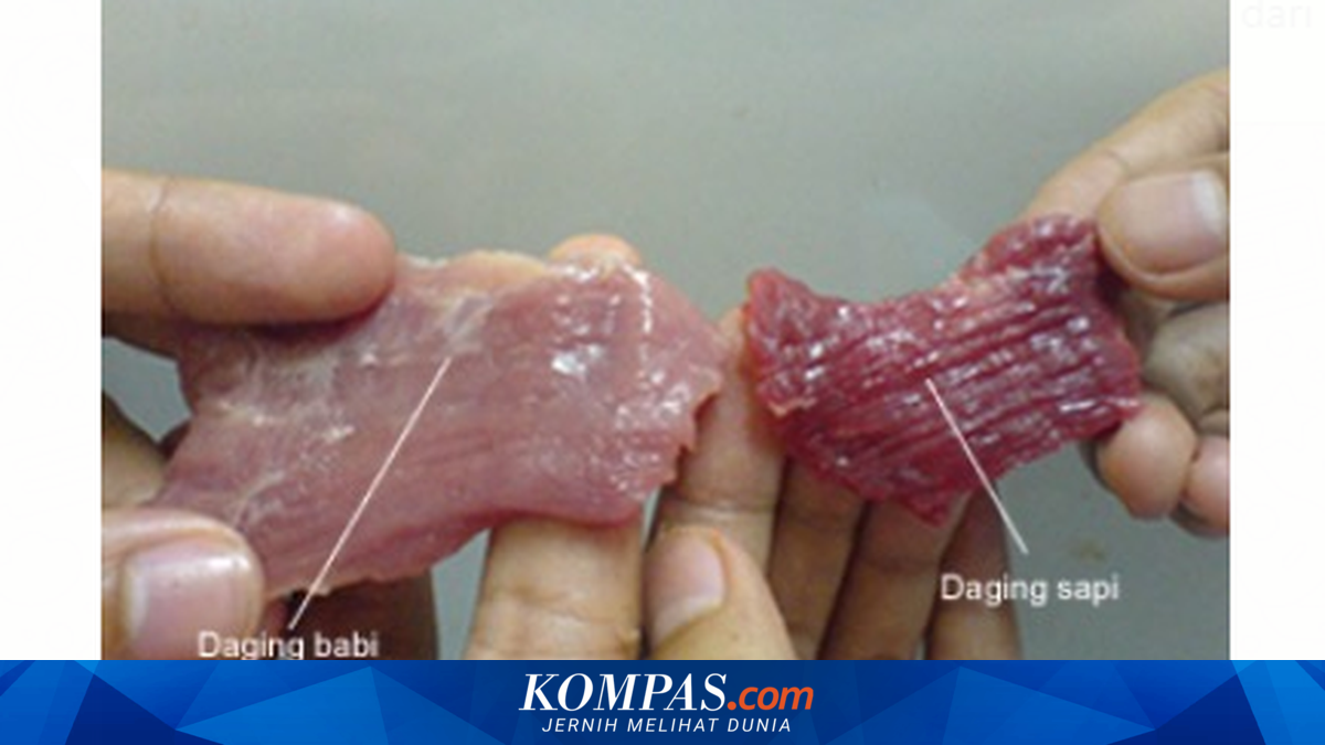 Daging Sapi Oplosan Babi Ditemukan di Pasar Bengkok, DKP Kota Tangerang ...