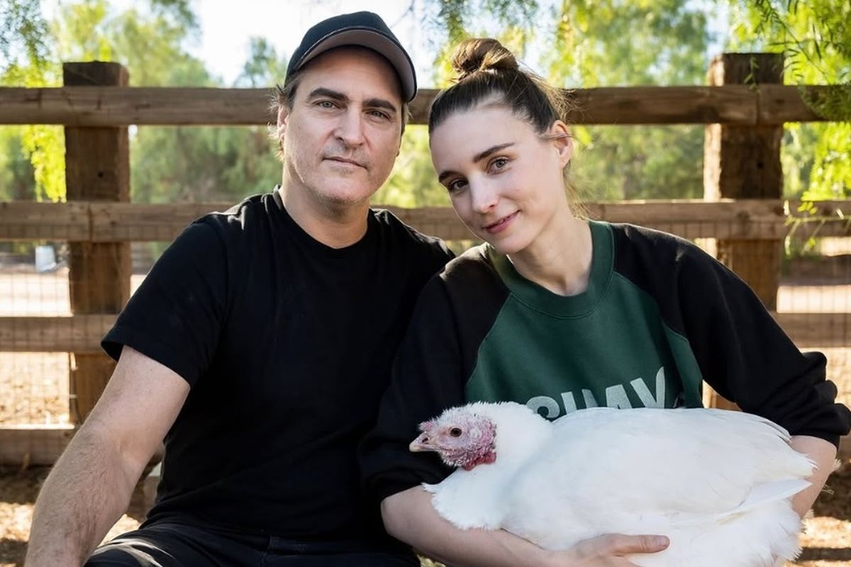 Joaquin Phoenix dan Andrew Garfield Turut Teken Komitmen Boikot ...