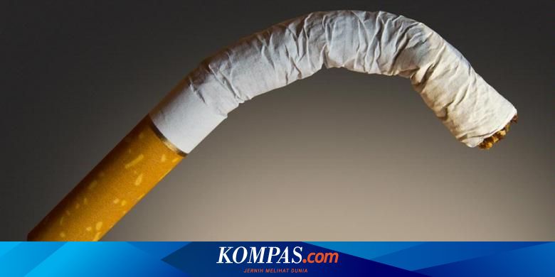 Pengusaha Rokok Bantah Isu Darah Babi di Filter Rokok