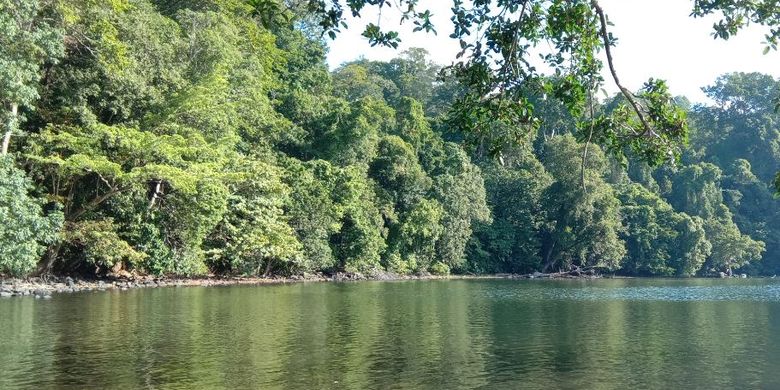 Daftar Suaka Margasatwa di Jawa Timur