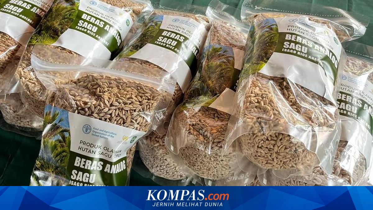 Melihat Pengolahan Sagu di Kampung Yoboi Jayapura, dari Manual ke Modern