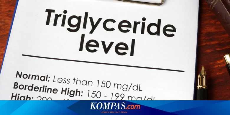 Trigliserida Tinggi Artinya Apa? Berikut Penjelasannya...
