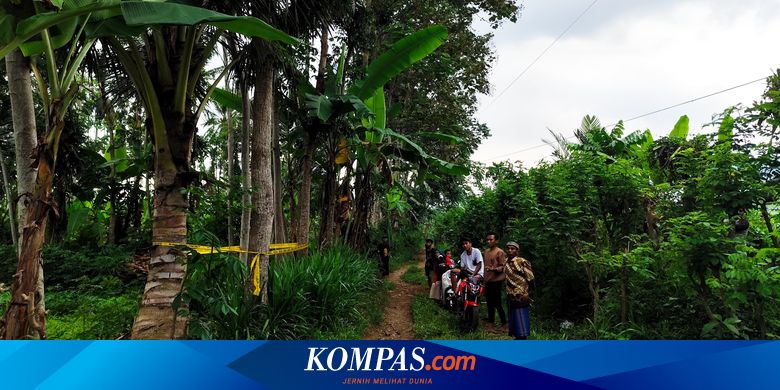 Kepala Sekolah di Banyuwangi Syok Siswinya Dibunuh dan Diperkosa Sepulang Sekolah