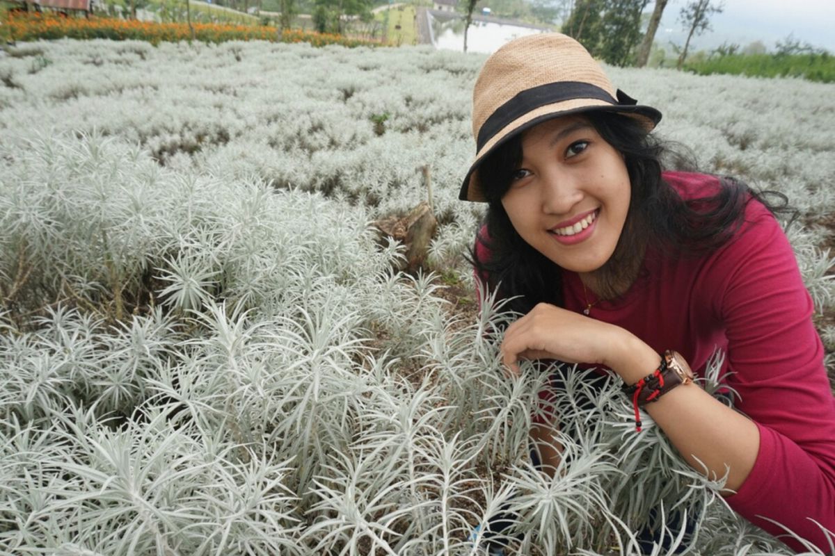 6 Keelokan Padang Bunga Kasna di Bali, seperti di Luar Negeri