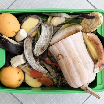 Bapanas Dorong Pemerintah Terbitkan Perpres soal "Food Loss" dan "Food ...