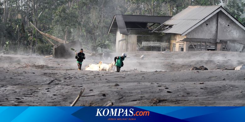 Status Gunung Semeru Hari Ini Turun dari Awas ke Siaga