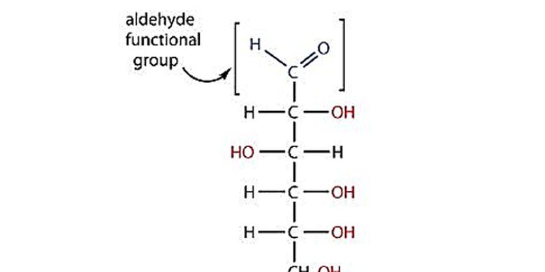 Aldoheksosa: Pengertian dan Contohnya