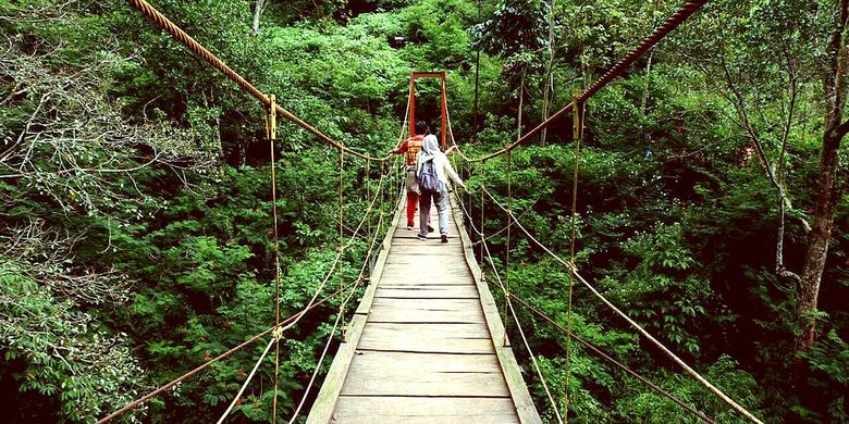 Daftar Lengkap Taman Hutan Raya (Tahura) di Indonesia