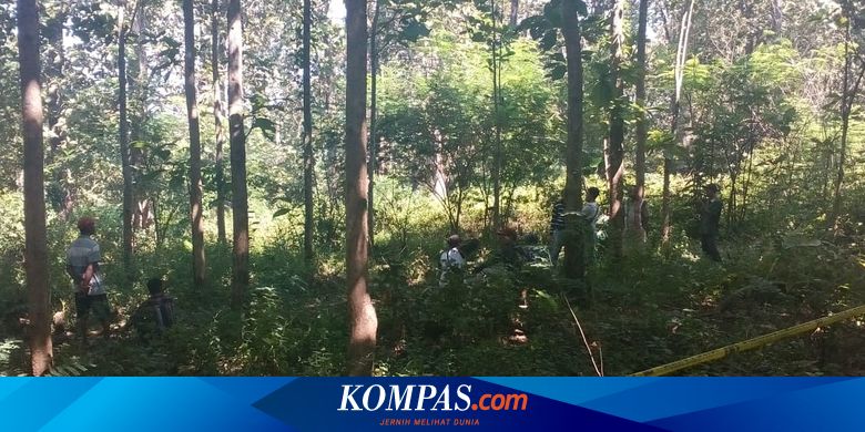 Modal Awal Bank Tanah Rp 2,5 Triliun, Beroperasi Tahun Ini