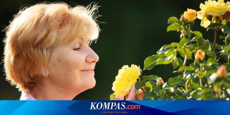 Semakin Tua Semakin Bahagia