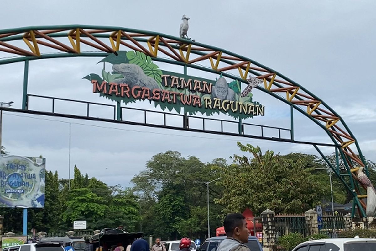 Cara Beli Tiket Ragunan secara Online, Harga Mulai Rp 3.000
