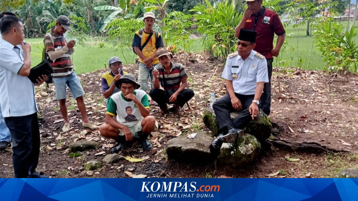 Pemda Lebong Sewa Yusril Rp 5,8 Miliar untuk Konflik Tapal Batas dengan ...