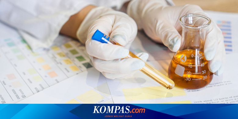 Warna Urine Bisa Ungkap Kondisi Kesehatan, Kenali Tiap Maknanya