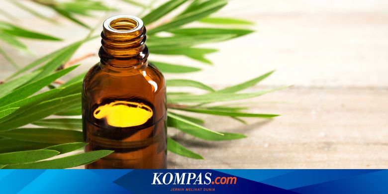 Selain Melawan Jerawat, Apa Saja Manfaat Tea Tree Oil?