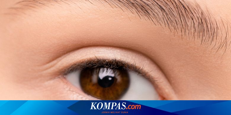 14 Oktober Hari Penglihatan Sedunia, Ini Cara Menjaga Kesehatan Mata