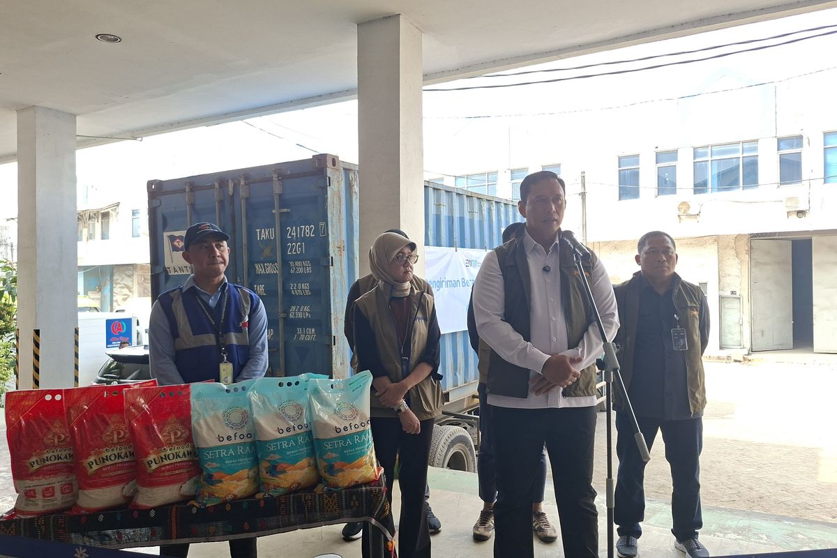 Bos Bulog Bilang Tak Perlu Impor, Stok Beras RI 3,8 Juta Ton