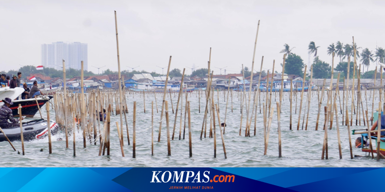 Titiek Soeharto Minta Pemilik Pagar Laut Ganti Biaya Pembongkaran