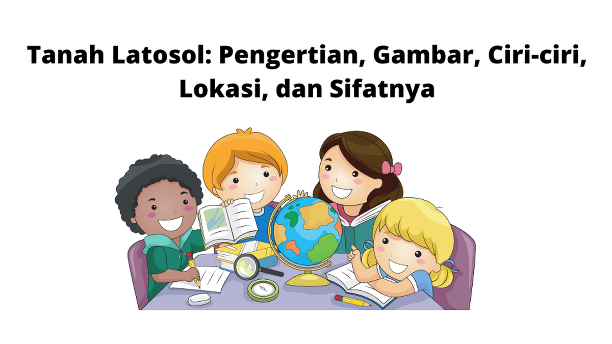 Tanah Latosol: Pengertian, Gambar, Ciri-ciri, Lokasi, dan Sifatnya