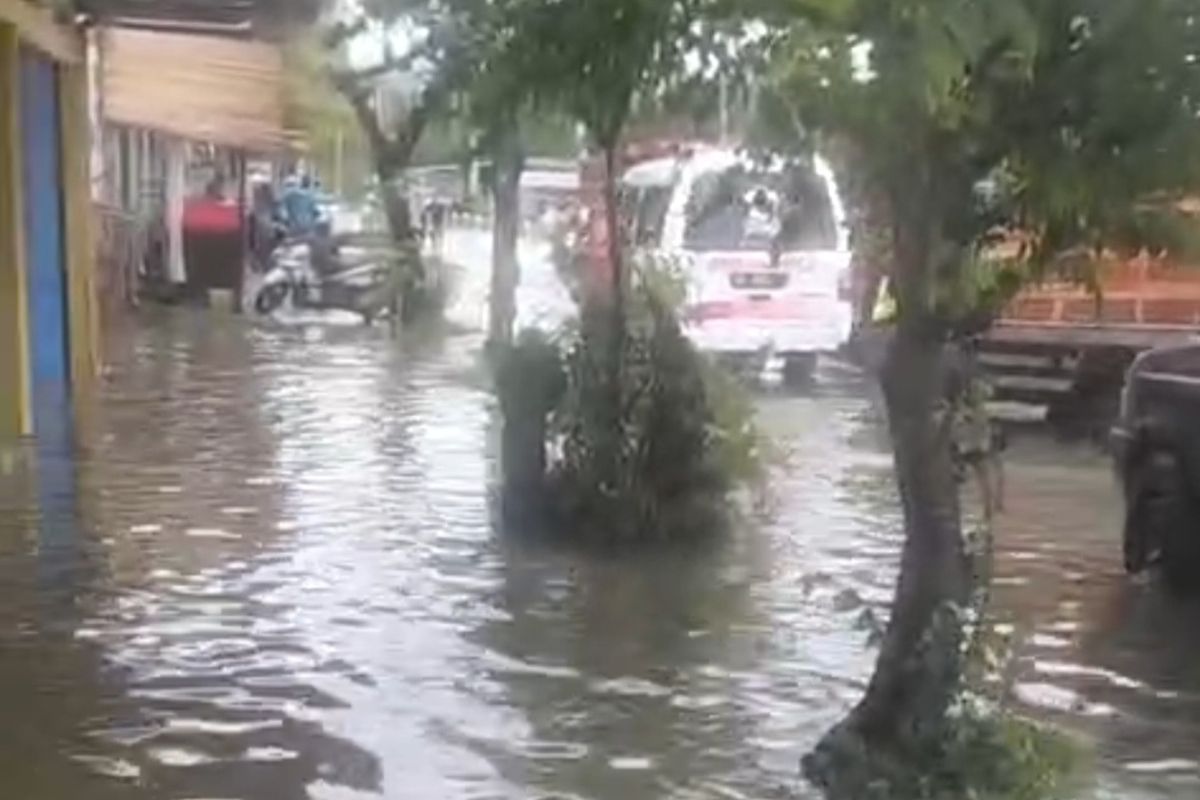 Hujan Deras Semalaman, Ratusan Hektar Sawah dan Rumah Terendam Banjir ...