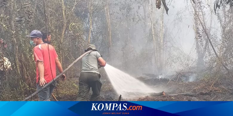 Hujan Buatan jadi Solusi Kabut Asap Riau, Begini Cara Membuatnya