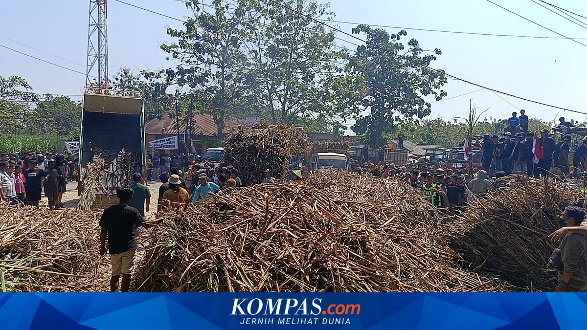 Petani Aksi Tumpah Tebu, PT GMM Blora Bakal Alihkan Pengiriman Hasil ...