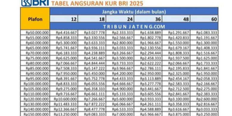 Foto : Syarat KUR BRI 2025 dan Tabel Angsuran Terbaru, Cek Cicilan ...