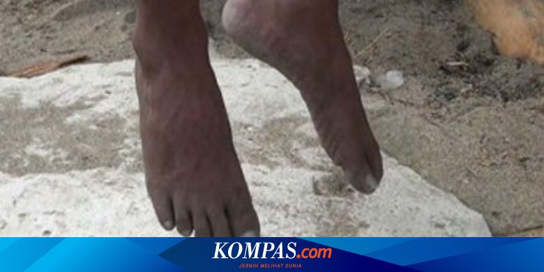 Terjerat Utang Bank, Buruh Tani Tewas Gantung Diri di Pohon Jati