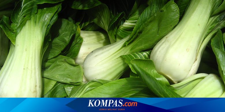 3 Cara Pilih Pakcoy yang Bagus, Hindari Batang Berbintik