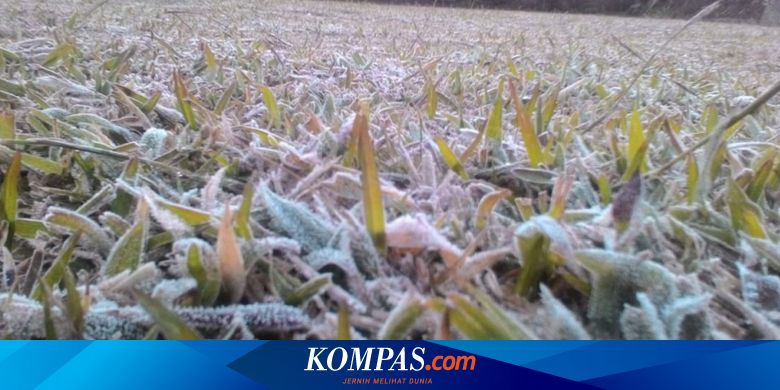 Penjelasan BMKG soal Cuaca Dingin di Indonesia, Termasuk Embun Es di Dieng