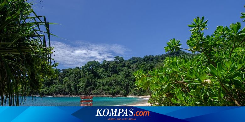 Sejarah dan Asal-usul Banyuwangi, Bukti Cinta Tulus Istri kepada Suami ...