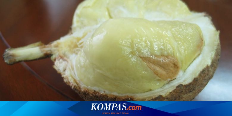 Durian Gundul dari Lombok, Sempat Dikira Beracun