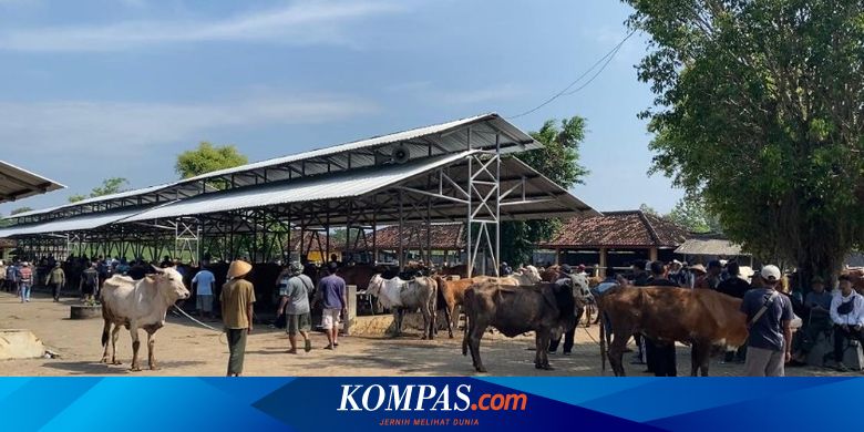 Waspada Antraks di Gunungkidul: 3 Kasus Positif, 2 Suspek, 25 Orang Dipantau