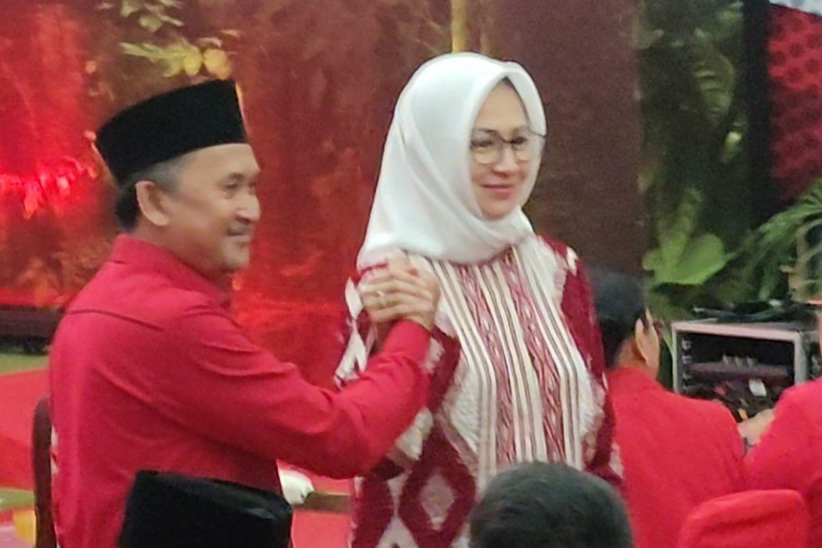Maju Pilkada Banten lewat PDI-P, Airin Diminta Tak Gunakan Atribut Golkar