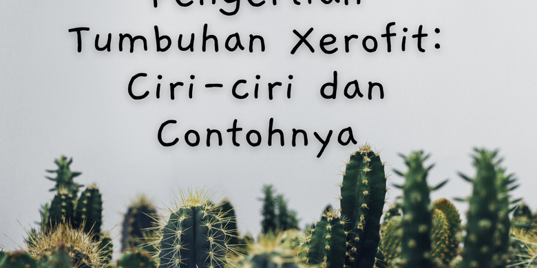 Pengertian Tumbuhan Xerofit: Ciri-ciri dan Contohnya