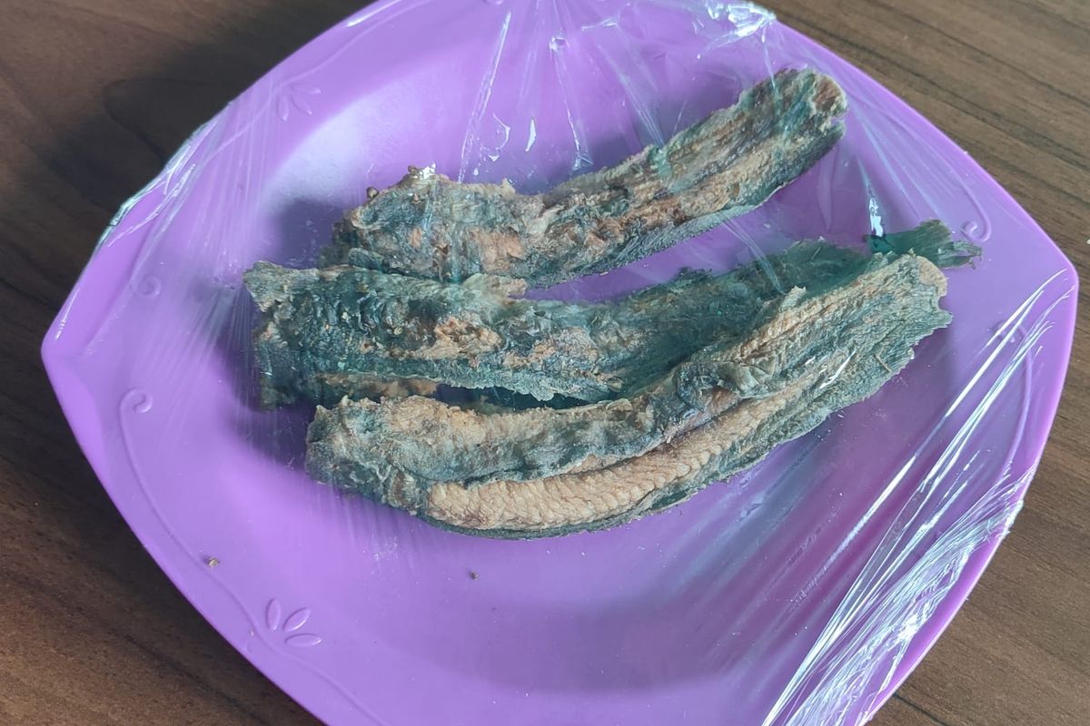 Belatung di Menu MBG SMK PL Magelang, SPPG Muntilan Ubah Cara Masak Lele