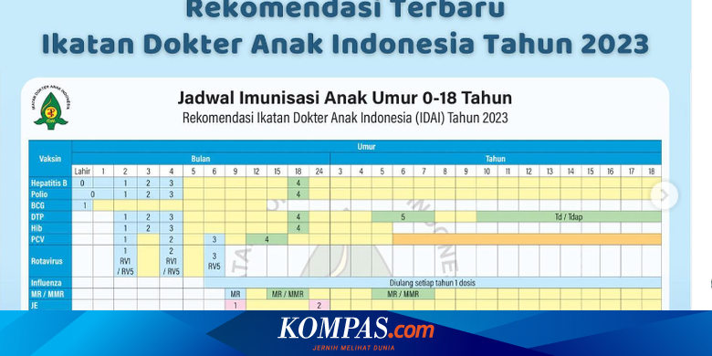Jadwal, Usia, dan Jenis Vaksin Imunisasi Anak Rekomendasi IDAI 2023