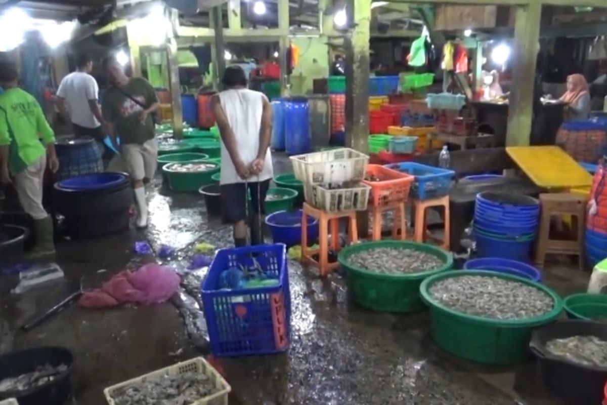 Harga Ikan di Semarang Melonjak, Cumi-Cumi Rp 80.000 per Kilogram, Ini ...