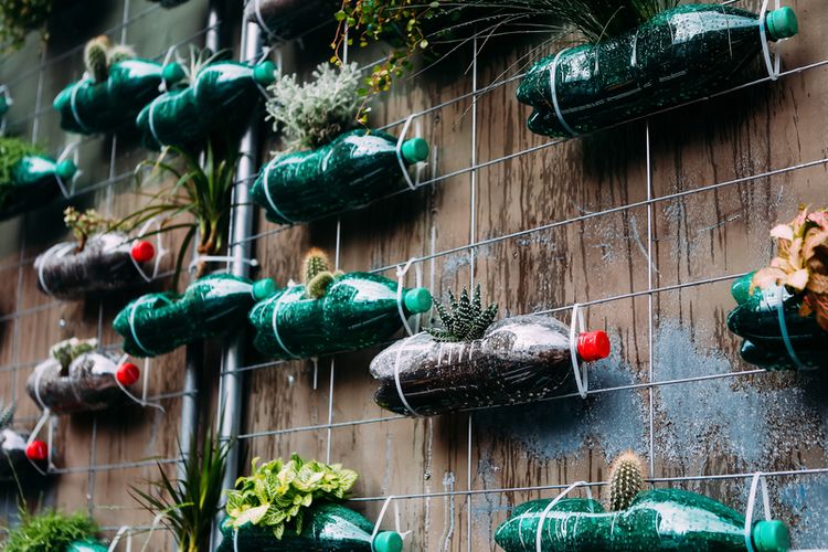 Jangan Dibuang, 4 Barang Bekas Ini Bisa Jadi Pot Tanaman