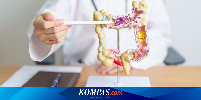 Mengapa Kesehatan Usus Penting untuk Mencegah Kanker Usus Besar?