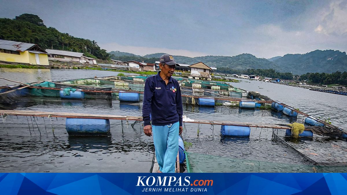 Nasib Nelayan Ikan Keramba di Waduk Saguling, Solar dan Pakan Naik tapi ...