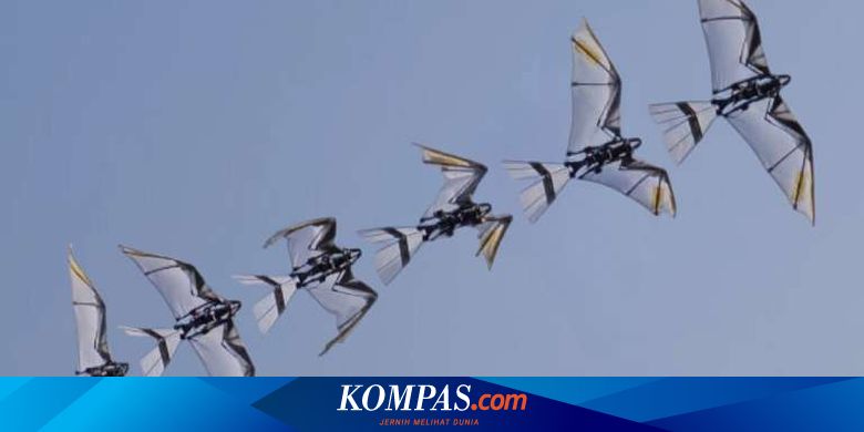 Eagle Robot Flight: Scientists Develop Bird-Like Flying Robots - Archynewsy