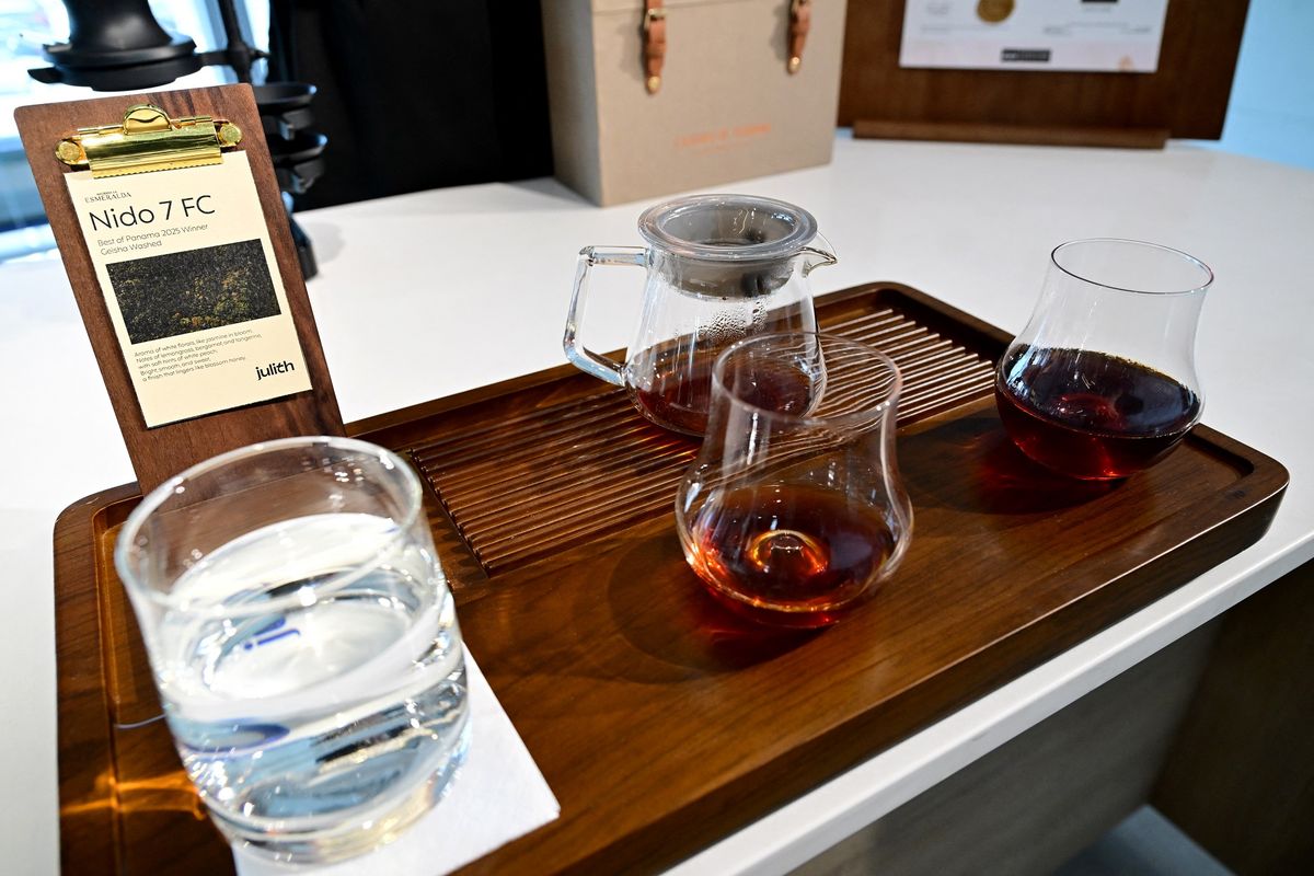 Kopi Termahal di Dunia Rp 16 Juta Secangkir, Bijinya Saja Rp 10 Miliar